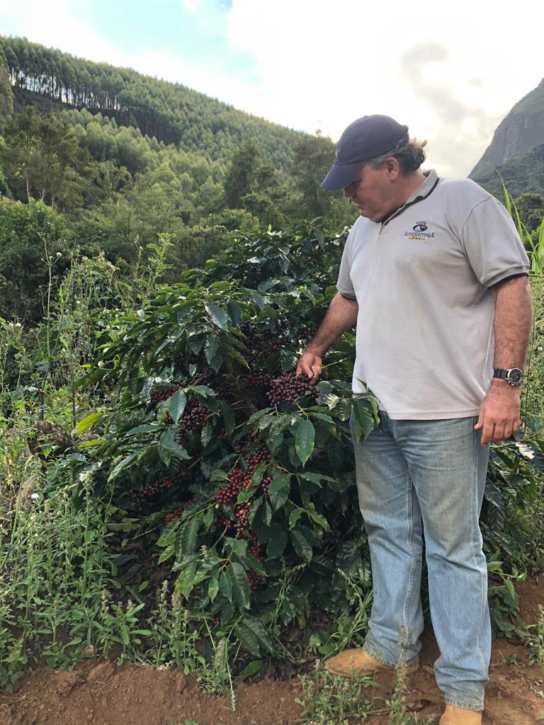 Coffee – Semi-Pro Coffee