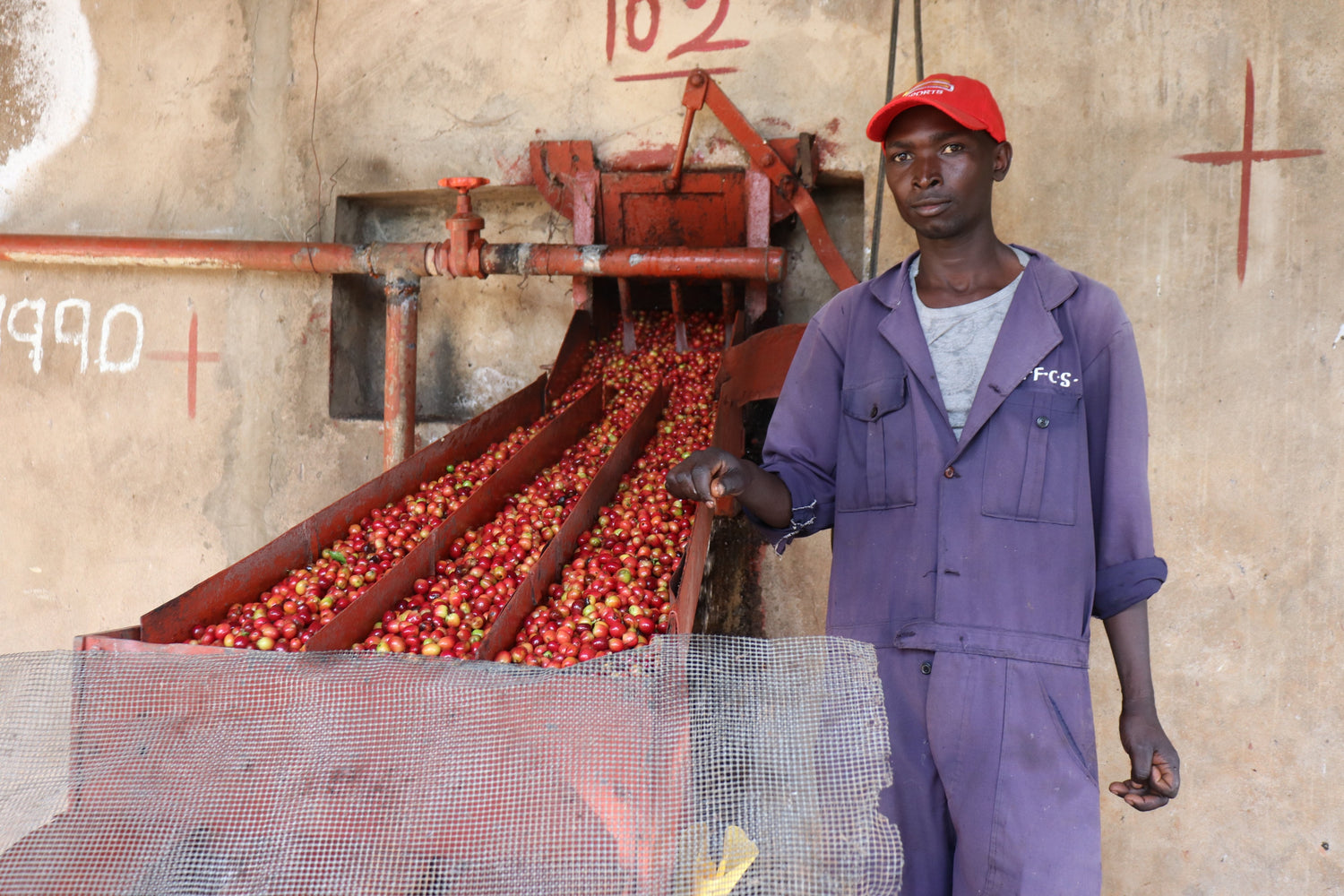 Collections – Semi-Pro Coffee